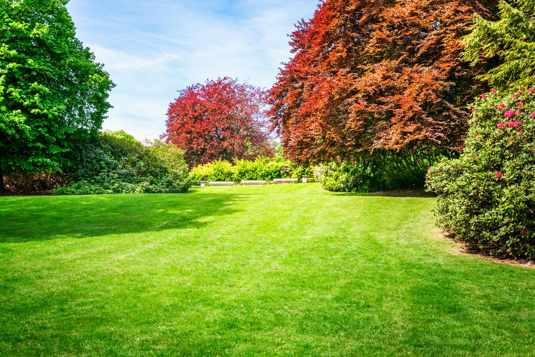 Por Qué los Muebles de tu Oficina Deben Ser de Color Haya